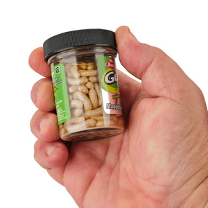 Gulp! Alive!® Maggots | Berkley Fishing®