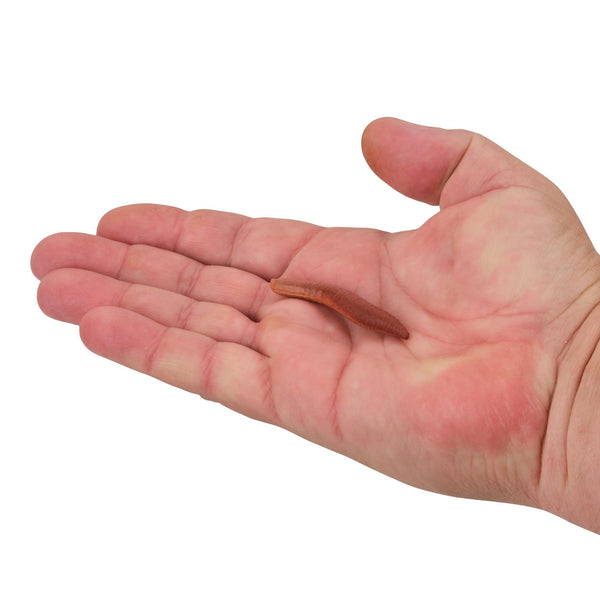 Gulp!® Floating Pinched Crawler | Berkley Fishing®