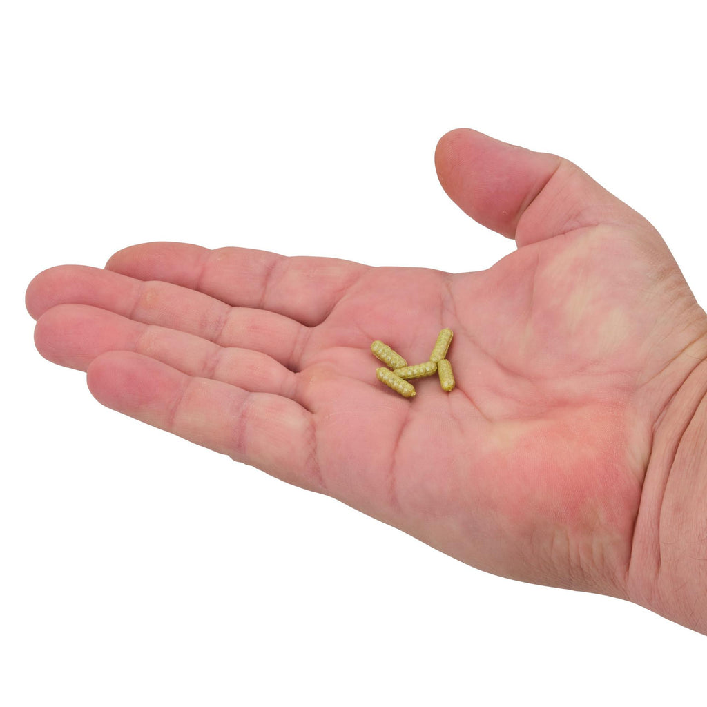 PowerBait® Power Wigglers® | Berkley Fishing®