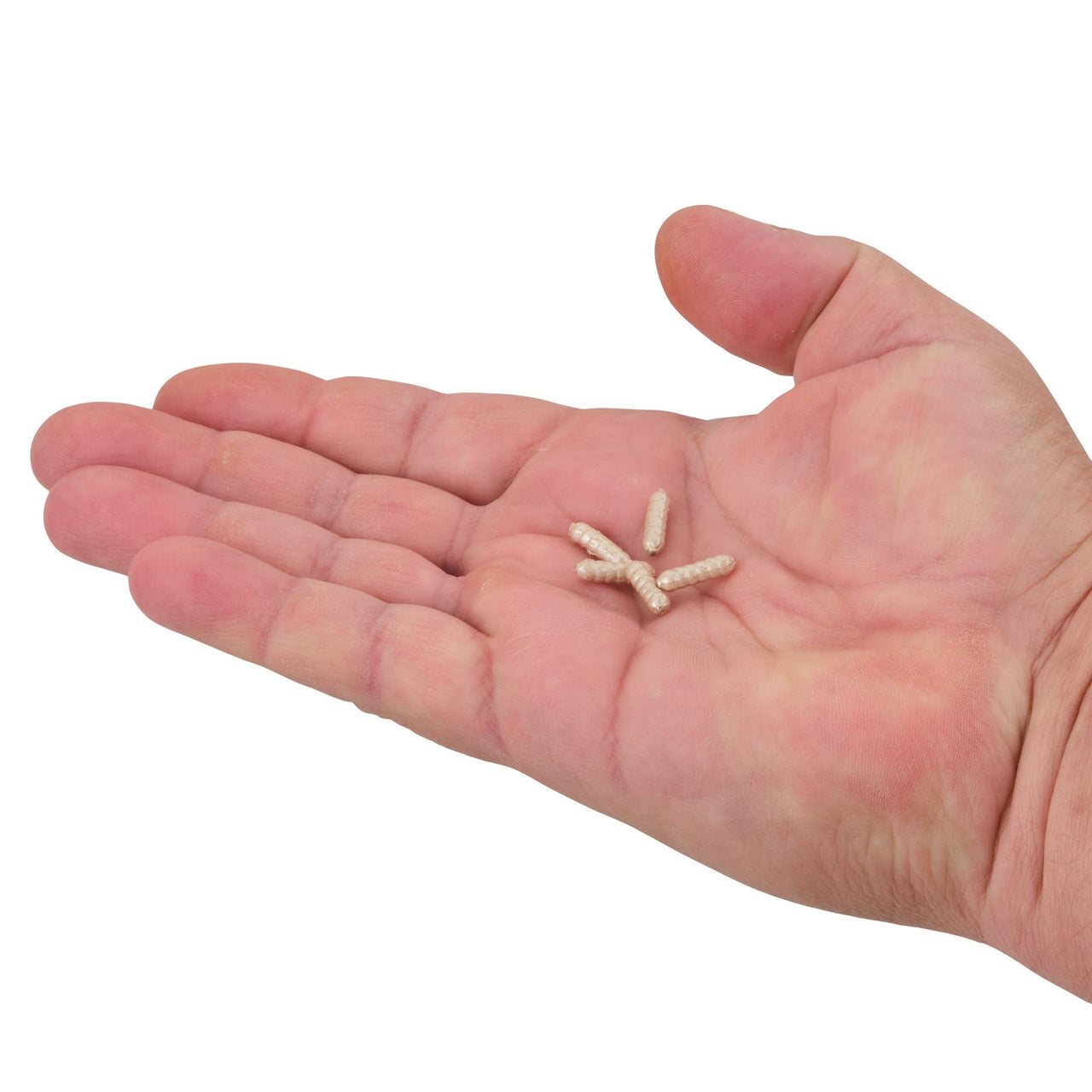 PowerBait® Power Wigglers® | Berkley Fishing®