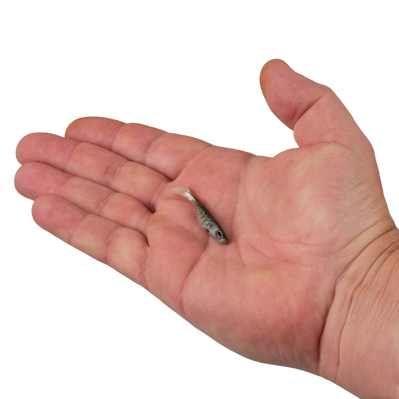 PowerBait® Ripple Shad | Berkley Fishing®