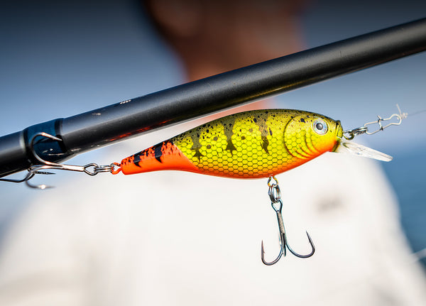 Berkley® US | Fishing Gear - Line, Bait, Tackle and Equipment