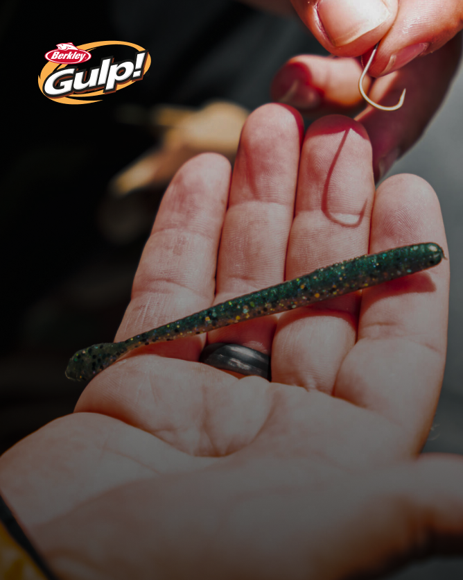 Berkley® US | Fishing Gear - Line, Bait, Tackle and Equipment